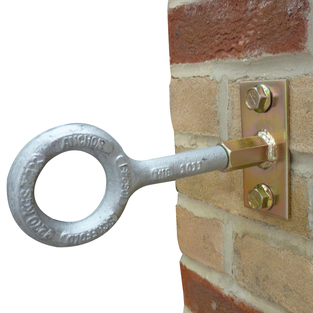 10x M16 Scaffold Ring Bolt